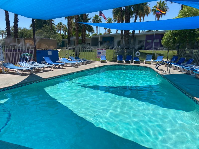 CCBC Gallery – Chubfest Palm Springs